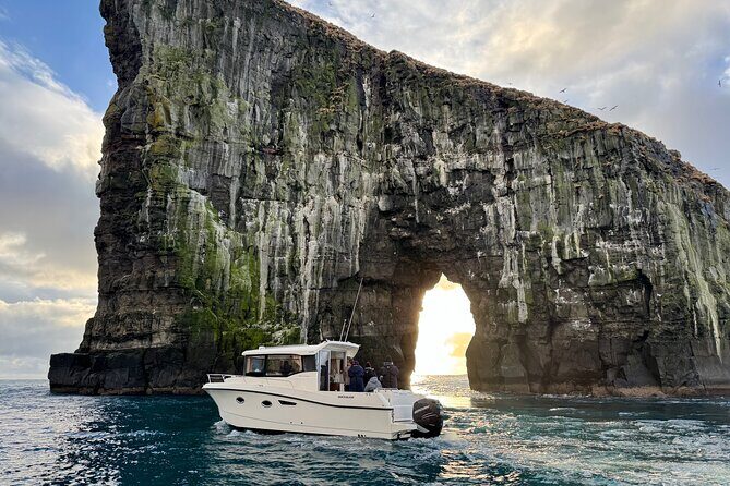 Exclusive 1,5 Hour Drangarnir Boat Tour - What Reviewers Are Saying