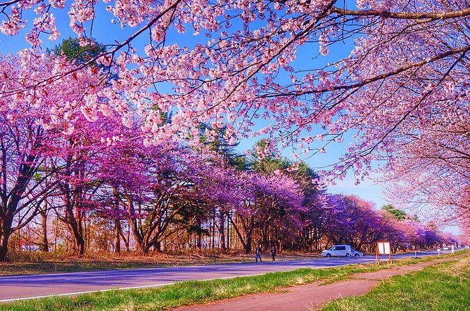 Exclusive 2-Day Tour to Hokkaidos Two Cultural Heritage Areas - Final Thoughts