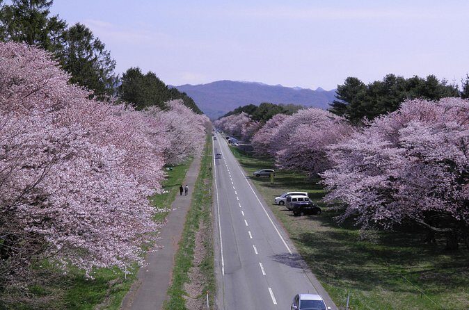 Exclusive 2-Day Tour to Hokkaidos Two Cultural Heritage Areas - FAQ