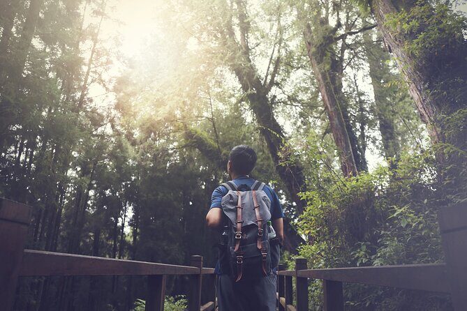 Exclusive 3-Day Sun Moon Lake & Alishan Private Tour - A Comprehensive Look at the Itinerary