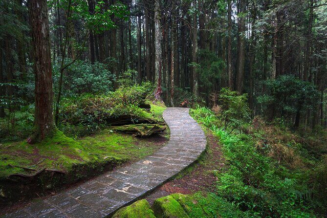 Exclusive 3-Day Sun Moon Lake & Alishan Private Tour - FAQs