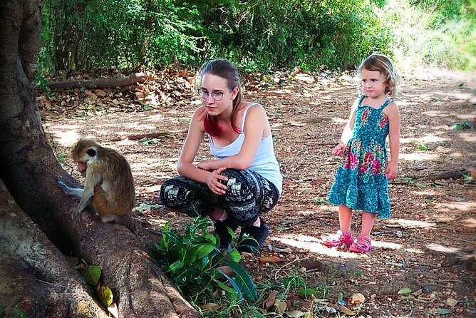 Exclusive 3-Hour Private Jeep Safari at Udawalawe National Park - The Sum Up