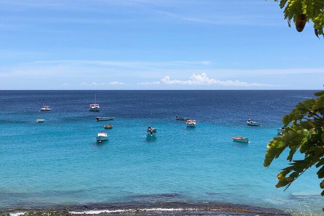 Exclusive 4 -Hour Private nature Tour: West Curacao's Best - A Deep Dive into the Tour Experience