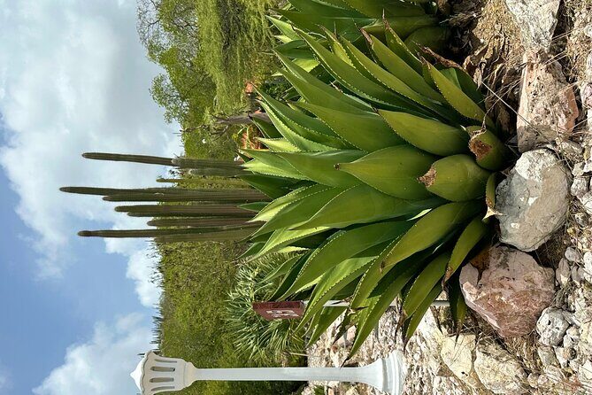 Exclusive 4 -Hour Private nature Tour: West Curacao's Best - Why This Tour Is a Great Choice