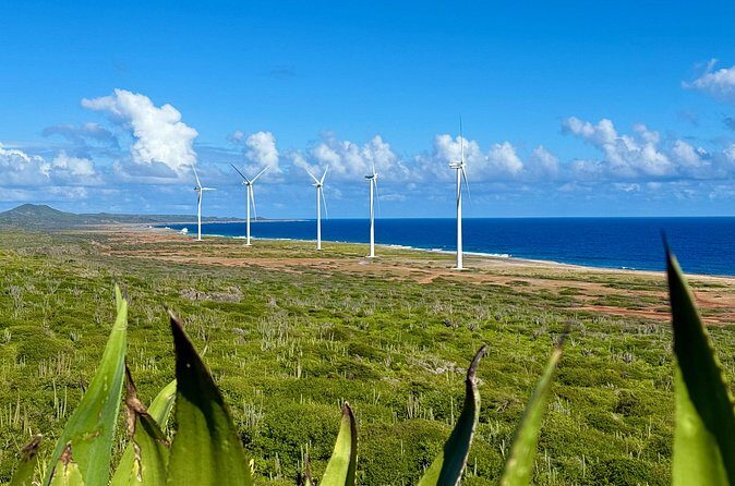 Exclusive 4 -Hour Private nature Tour: West Curacao's Best - Final Thoughts: Who Should Book This Experience?