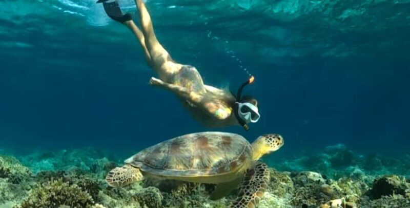 Exclusive 5 Secret Gilis: Snorkeling & Island Hopping - FAQ