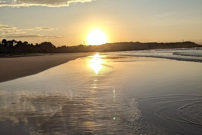 Exclusive 8 Day Heritage, Nature and Beaches Journey in Sri Lanka - What Makes This Tour Stand Out?