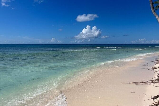 Exclusive Adventure in Saona: Small Group - Who Should Consider This Tour?