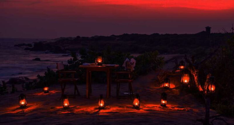 Exclusive : Afternoon Yala Safari with Beach BBQ Dinner - What to Expect from the Tour