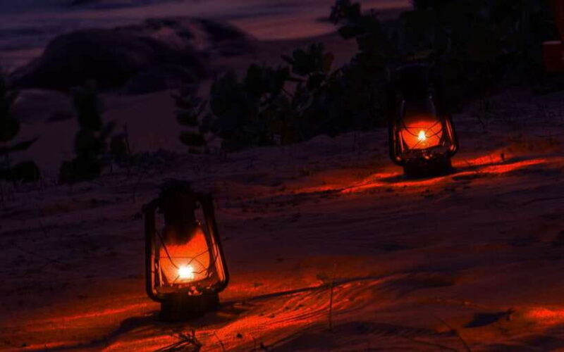 Exclusive : Afternoon Yala Safari with Beach BBQ Dinner - Authentic Insights from Reviews