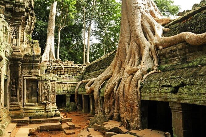Exclusive Angkor temples and Small group temples tours - Key Points
