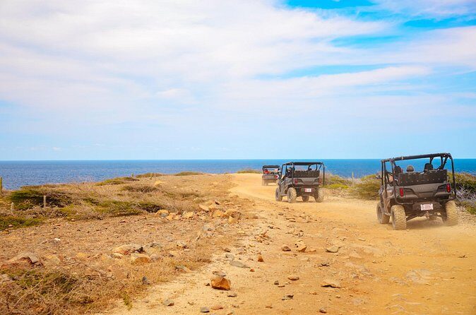 Exclusive Aruba UTV Rentals - Practical Tips for Travelers