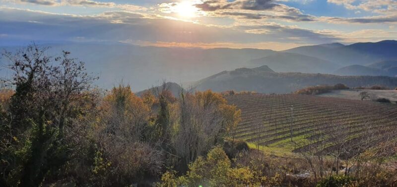 Exclusive Assisi and Sagrantino di Montefalco Wines - The Value of the Whole Experience