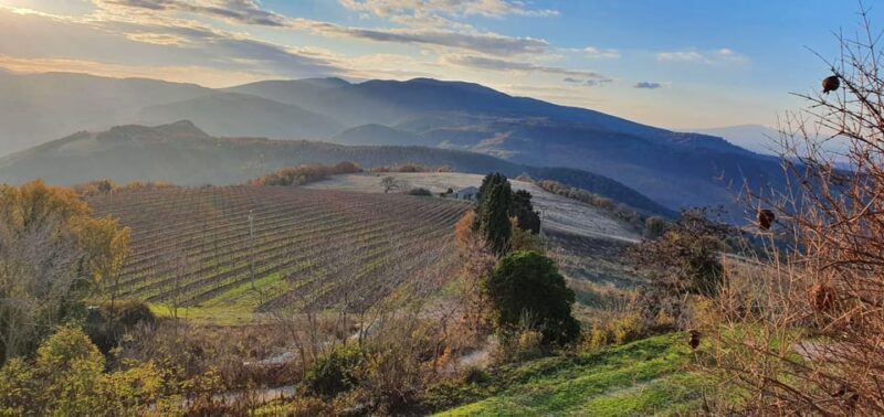 Exclusive Assisi and Sagrantino di Montefalco Wines - The 4-Course Regional Lunch