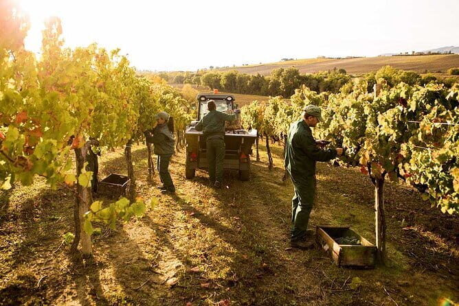 Exclusive Assisi & Sagrantino di Montefalco Wines from Florence - Key Points