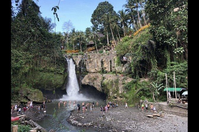 Exclusive Bali Driver Experience - Authenticity and Local Insights