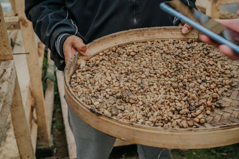 Exclusive Bali Highlights Tour from Celukan Bawang Port - Key Points