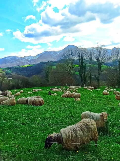 Exclusive Basque countryside - Key Points