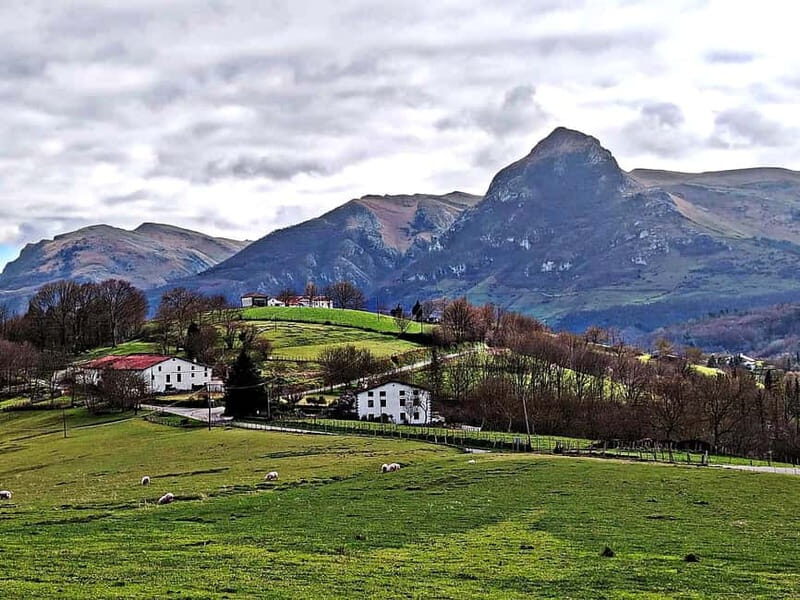 Exclusive Basque countryside - Transportation and Group Dynamics