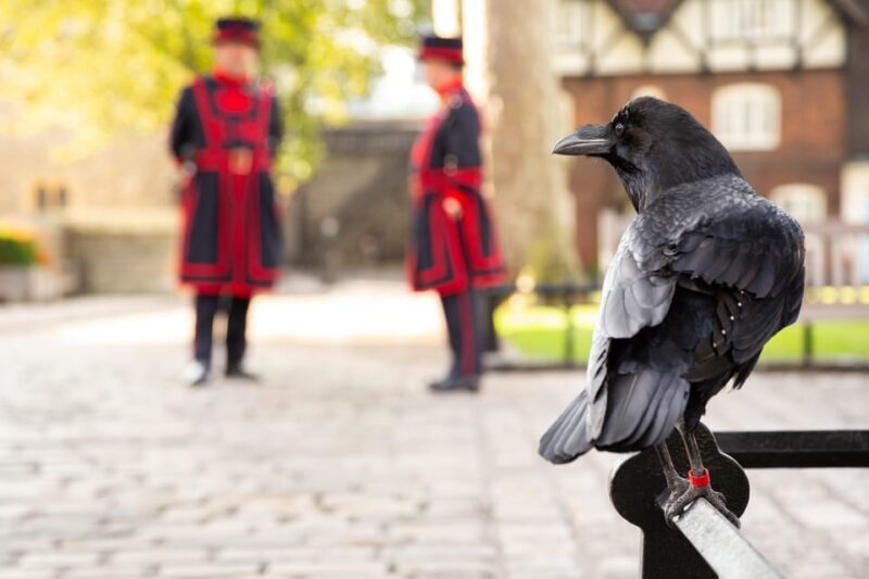 Exclusive Beefeater Meet & Greet at the Tower of London - The Sum Up