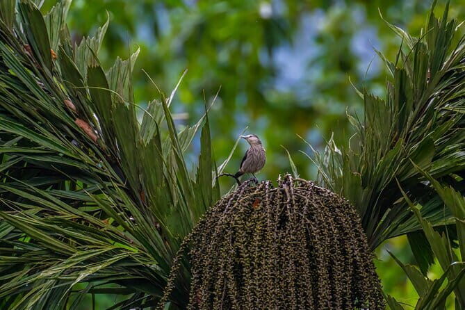 Exclusive Bird watching Private Tour With Accomodation - Key Points