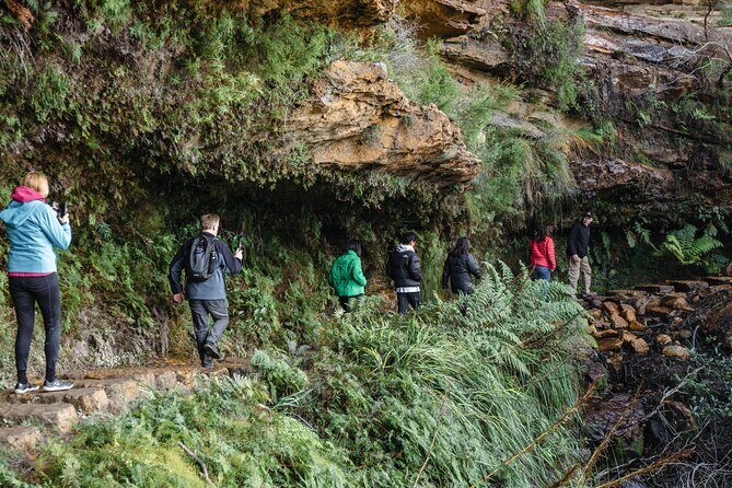 Exclusive Blue Mountains Wildlife and Bushwalk Tour From Sydney - Diving Into the Details: What You Can Expect