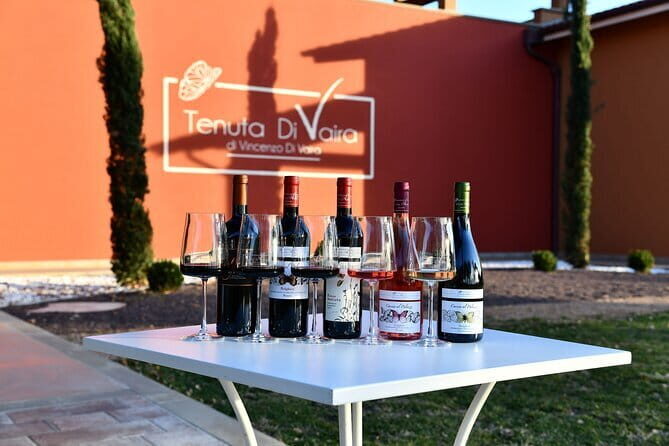 Exclusive Bolgheri from Florence: The Land of the Super Tuscan - Why This Tour Offers Great Value