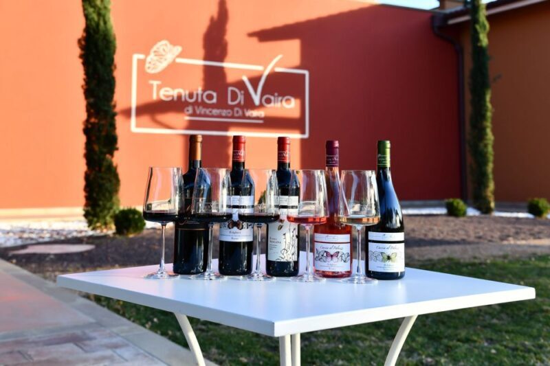 Exclusive Bolgheri Full-Day Wine Tour from Florence - Key Points