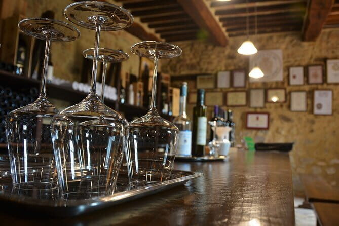 Exclusive Brunello di Montalcino tour from Florence - A Deep Dive into the Experience