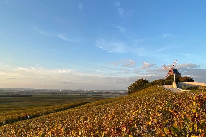 Exclusive Champagne Tour ( All included ): 2 Famous houses & restaurant - The Value of This Tour