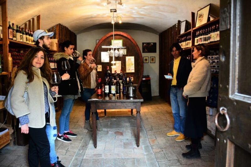 Exclusive Chianti Classico Day Trip from Florence - A Deep Look at the Experience