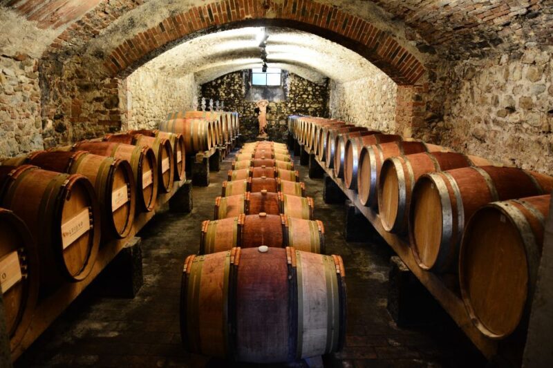 Exclusive Chianti Classico Day Trip from Florence - Who Will Love This Tour?
