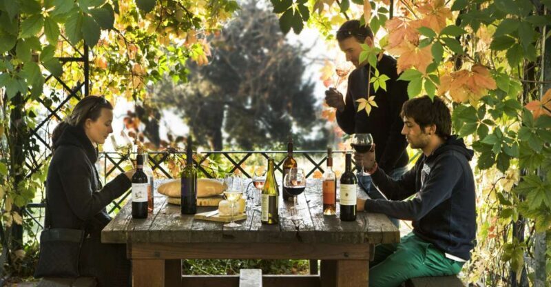 Exclusive Chianti Rufina Half-Day with lunch from Florence - Exploring the Chianti Rufina Half-Day Tour from Florence
