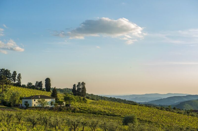 Exclusive Chianti Rufina Half-Day with lunch from Florence - Key Points