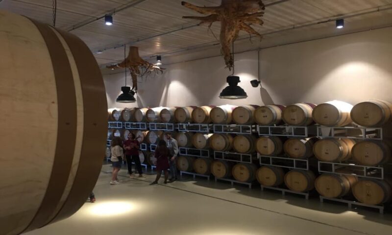 Exclusive Cortona Tour, Land of Tuscan Syrah - Who Should Consider This Tour?