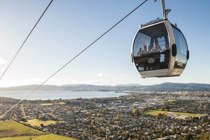 Exclusive Day Trip from Te Puia to Wine Tasting and Redwoods - An Introduction to the Rotorua Day Trip