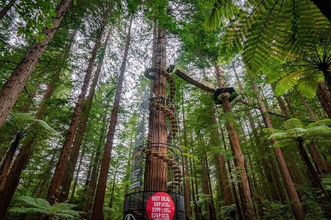 Exclusive Day Trip from Te Puia to Wine Tasting and Redwoods - Detailed Breakdown of the Itinerary