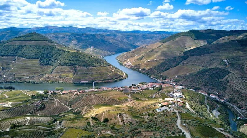 Exclusive Douro Valley: 3 Wineries, 9 Wine Tastings & Lunch - Who Is This Tour Best For?