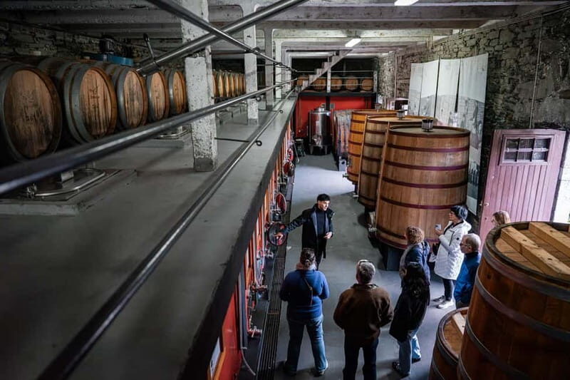 Exclusive Douro Valley: 3 Wineries, 9 Wine Tastings & Lunch - Who Would Enjoy This Tour?