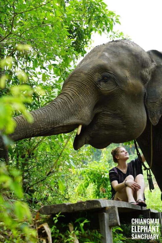 Exclusive experience half day with family giant animals - An In-Depth Look at the Experience