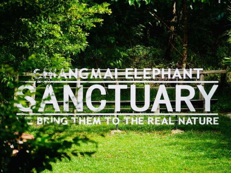 Exclusive experience half day with family giant animals - Who Will Love This Tour?