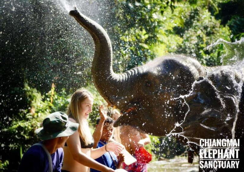 Exclusive experience half day with family giant animals - Final Thoughts