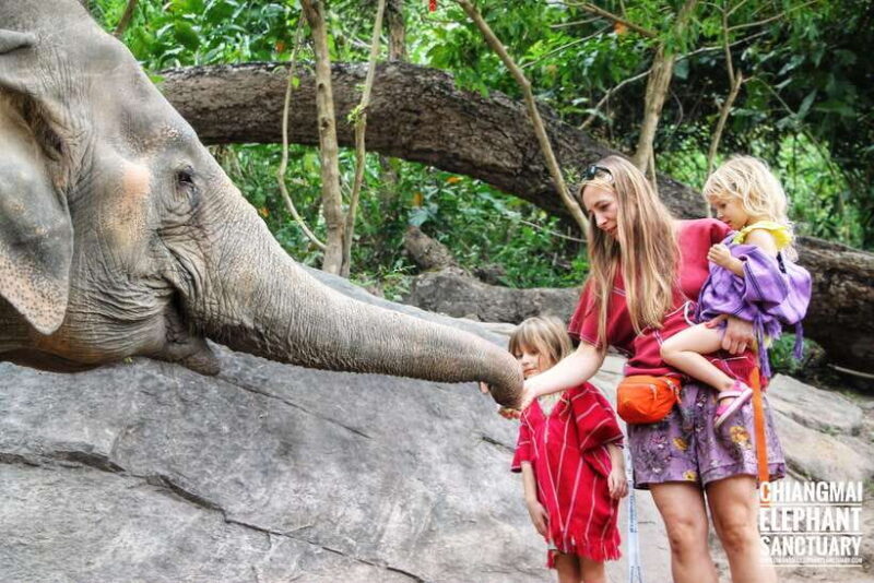 Exclusive experience half day with family giant animals - FAQ