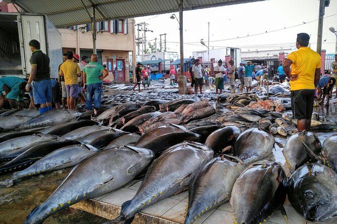 Exclusive: Explore Negombo Treasures by Tuk-Tuk - Who Should Consider This Tour?