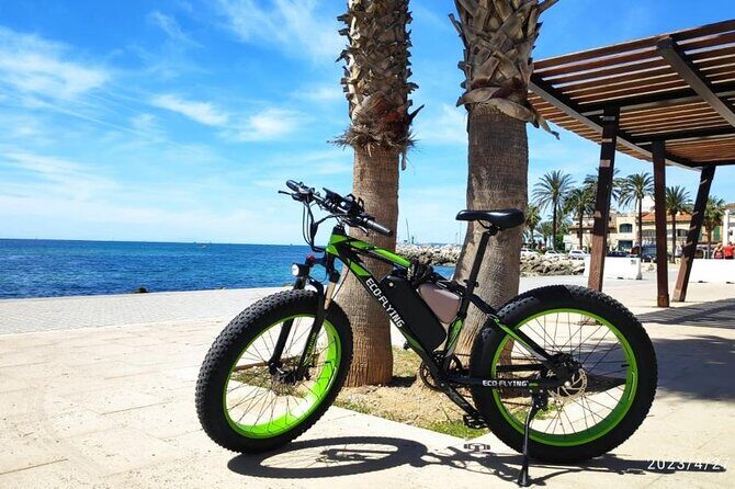 Exclusive Fat Tire E-Bike Tour in Palma - Meeting Point and Group Size