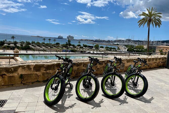 Exclusive Fat Tire E-Bike Tour in Palma - The Itinerary: A City in a Nutshell