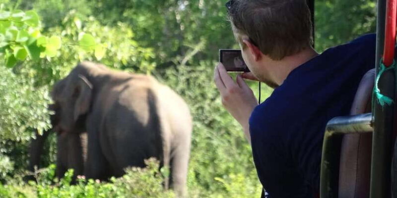 Exclusive : Full-Day Leopard Safari Yala With Picnic Lunch - The Journey to Yala: Comfort and Convenience