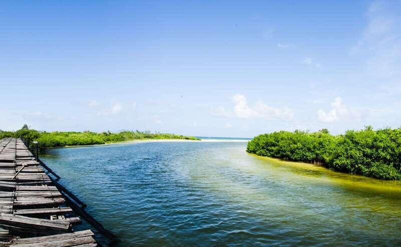 Exclusive Full Day Nature Expedition in Sian Ka'an - The Complete Day: Balancing Highlights and Practicalities