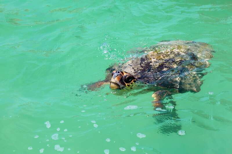 Exclusive Full Day Nature Expedition in Sian Ka'an - Final Thoughts