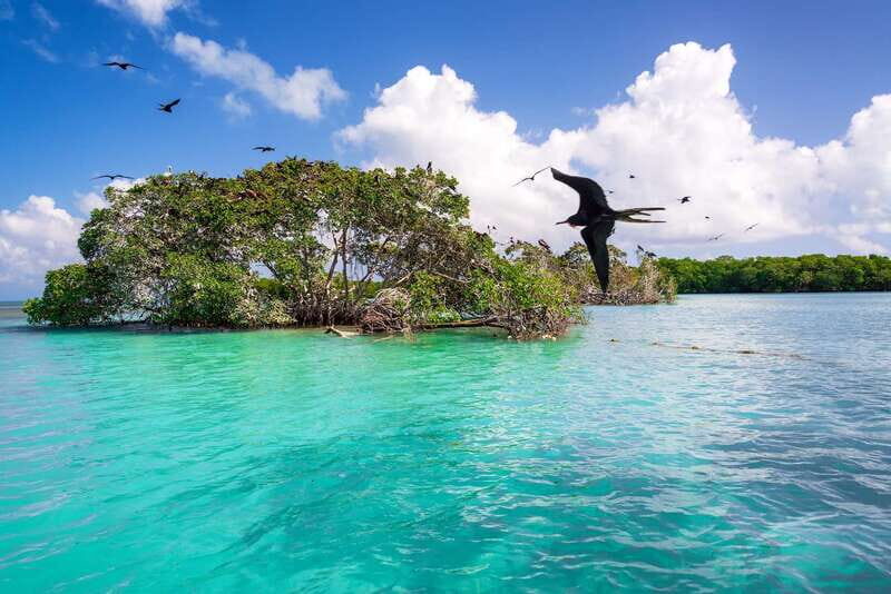 Exclusive Full Day Nature Expedition in Sian Ka'an - FAQs